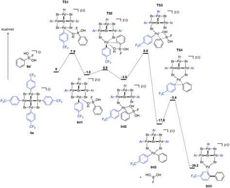 Free Energy Profile For The Transmetalation And Reductive Elimination