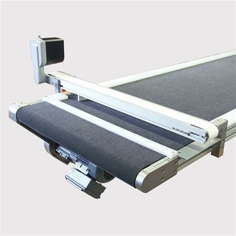 Buffer Conveyor And Extraction System