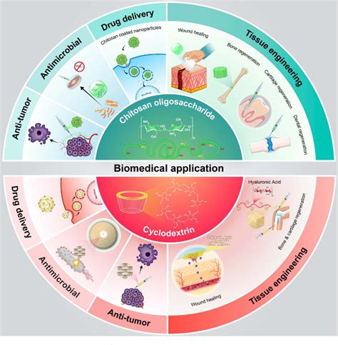 Figure 1 From Advancements In Application Of Chitosan And Cyclodextrins