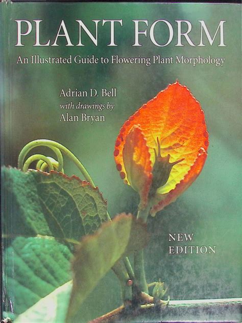 Bell Plant Form Pdf Leaf Bud