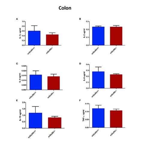 A Western Blot Analysis Of The Prefrontal Cortex And Hippocampus Of