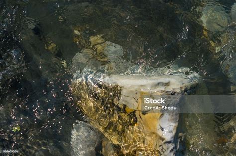 海のビーチで小石石の泡と海の波 しぶきを上げるのストックフォトや画像を多数ご用意 しぶきを上げる ターコイズブルー バケーション