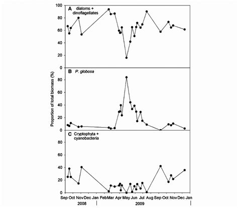 Seasonal Variation Of Phytoplankton Assemblages Shown As The Proportion Download Scientific