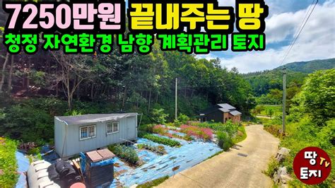 소액 투자로 양평 주말 세컨하우스 텃밭용 땅을 찾는분들에게 완벽한 땅 청정 자연환경 갖춘 남향 계획관리 토지 급매물 양평싼땅 양평소액토지 양평체류형쉼터땅 양평1억이하
