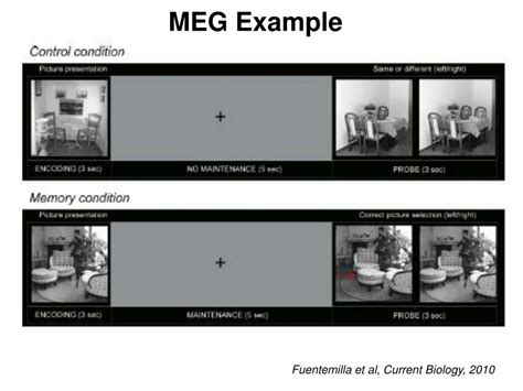 Ppt Brain Connectivity And Model Comparison Powerpoint Presentation Free Download Id 2416254
