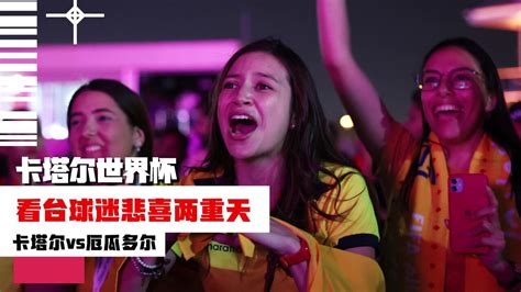悲喜两重天！厄瓜多尔球迷欢庆进球 卡塔尔球迷痛苦捂脸高清1080p在线观看平台腾讯视频