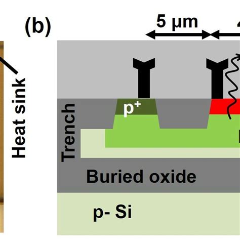 A Top View Micrograph And B Device Cross Section Of The N P