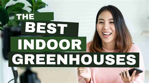 8 Best Fertilizers For Indoor Plants 2025 Houseplant Advisor