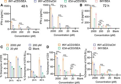 Superantigen Fused T Cell Engagers For Tumor Antigen Mediated Robust T