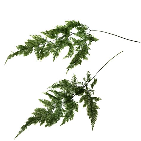 플로라 프리저브드