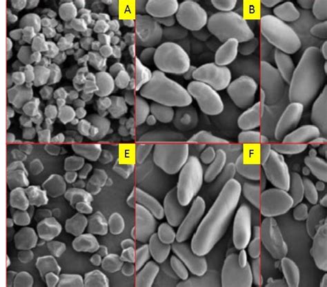 Pdf Taro Starch Isolation Morphology Modification And Novel Applications Concern A Review