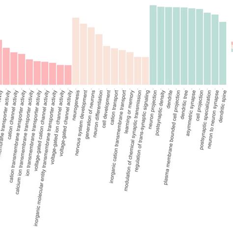 Go Functional Annotations Of The Potential Susceptibility Genes Of