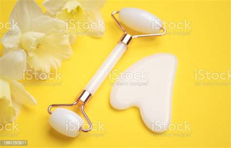 얼굴 롤러 얼굴 마사지를위한 Gua Sha 돌 및 노란색 배경에 나르시소스 꽃 화장품 얼굴 피부 관리 및 스파 자연 치료 개념