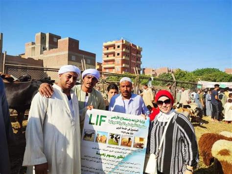الزراعة ” صندوق التأمين على الماشية يصرف تعويضات 100 من قيمة الحيوان