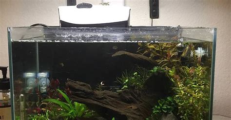 Day One Album On Imgur