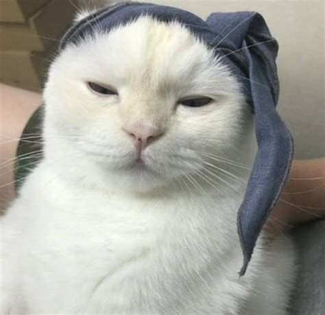 闷闷不乐壁纸闷闷不乐卡通闷闷不乐图片大山谷图库