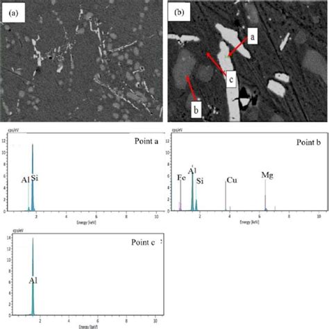 Microstructure Of Cooling Slope Heat Treated With One Ecap Pass Download Scientific Diagram