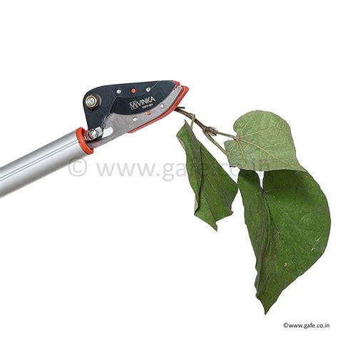 Telescopic Fruit Picker Cut And Hold I 4 Metre At Rs 3000 Piece Long