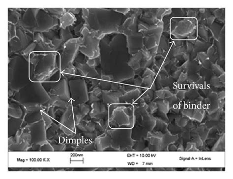 Typical Sem Micrographs On The Fractured Surfaces Of The Prepared Wc Ni Download Scientific