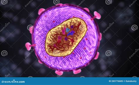 Hiv 1 Virions Contain Two Copies Of A Single Stranded Rna Genome Stock Video Video Of Medical
