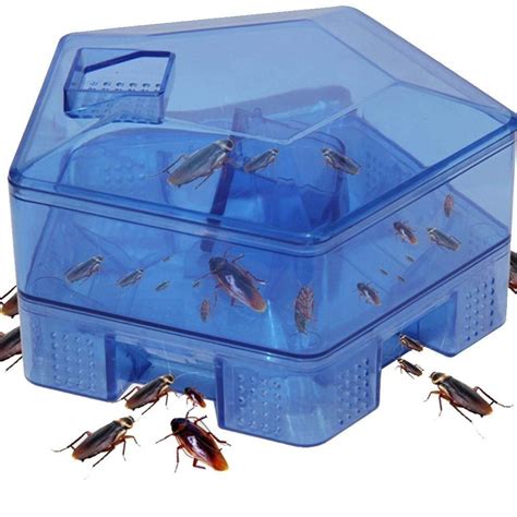 Buy Punit Creation Cockroach Traps Box Cockroach Bug Roach Catcher Cockroach Killer Bait Traps