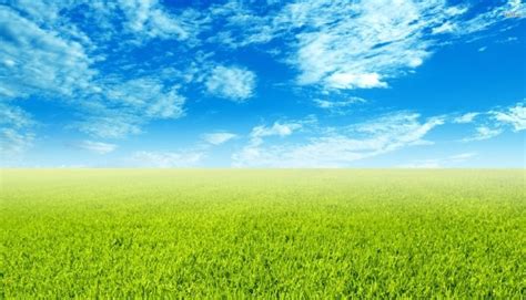 Mifid Ii Best Execution Requirements Will Transform Buy Side