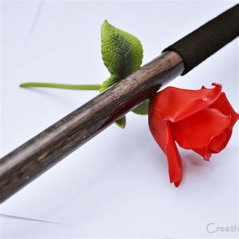 Sex Cane Etsy