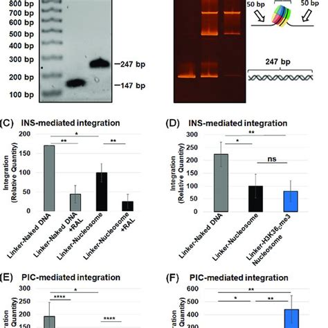 The Nucleosome Containing Linker Dna And The H3k36 C Me3 Is An Optimal