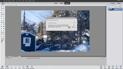 Remove A Color Cast In Photoshop Elements Instructions