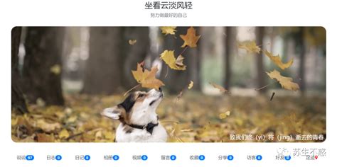 神器插件：一键下载qq空间日志，图片，视频 知乎