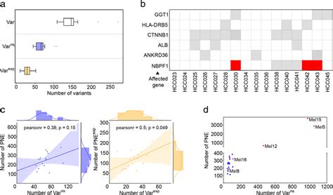 Characterization Of Somatic Variants And Their Potential For Hla Download Scientific Diagram