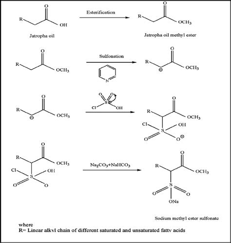 Systematic Reaction Scheme Of Synthesized Mes Surfactant Download Scientific Diagram