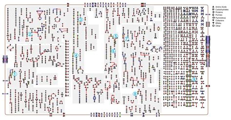 Pathways Of C Difficile Were Reconstructed Using Pathway Tools Amino