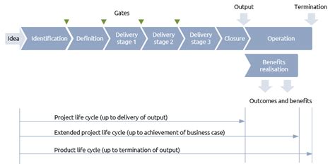 Life Cycle Praxis Framework