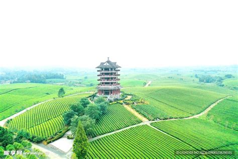 中国茶海景区摄影图自然风景自然景观摄影图库昵图网