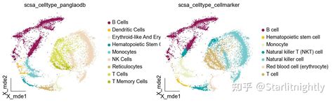 单细胞测序最好的教程（八） 基于marker的自动注释 知乎