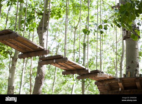 Tree Top Adventure Park Stock Photo Alamy