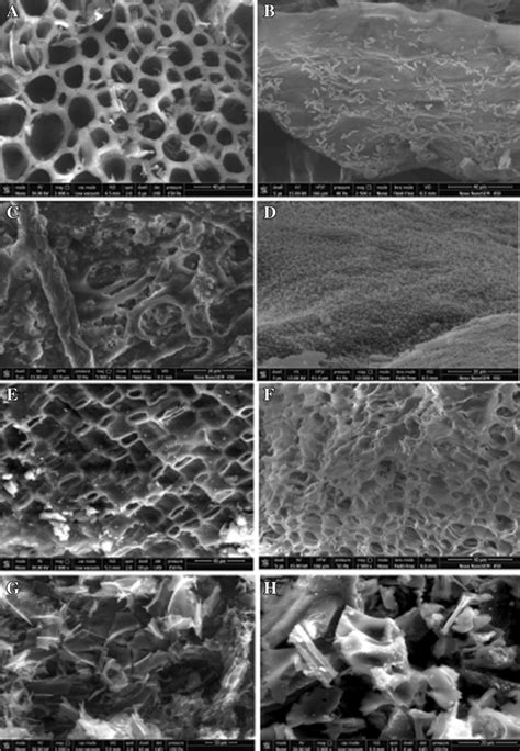 Sem Of The Anode Surface Before And After Treatment A Bare Anode