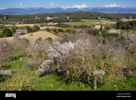 Randa Village Hi Res Stock Photography And Images Alamy