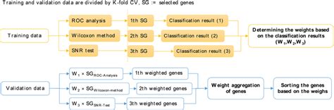 In Our Soft Ensembling Method Between Selected Genes The Following Download Scientific Diagram