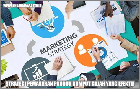 Strategi Pemasaran Produk Rumput Gajah Yang Efektif Desa Bhuana Jaya
