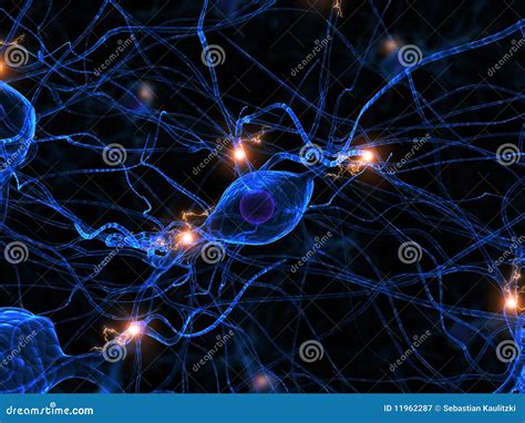 Active Nerve Cell Stock Illustration Illustration Of Receptor 11962287