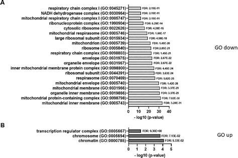 Rna Seq Go Bar Graphs Show Significantly Enriched Go Cellular