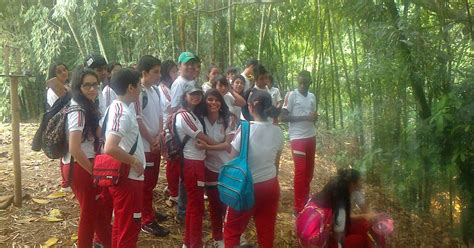 CIENCIAS NATURALES EN EL AULA VIVA CONSTRUCCION DEL CONOCIMIENTO