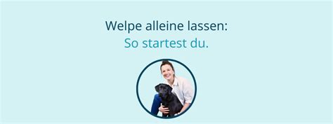 Welpe Alleine Lassen Was Sollte Ich Beachten Hund Alleine Lassen