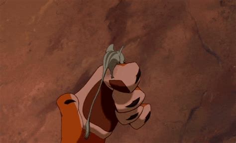 Lion King Infinite Loop   On Imgur