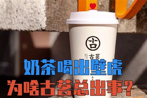 奶茶喝出壁虎为啥古茗总出事 凤凰网视频 凤凰网