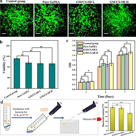 In Vitro Biocompatibility And Antibacterial Property A Livedead
