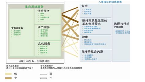 如何运用invest模型，掌握产水（包括水源涵养）、碳存储（包括固碳）、土壤保持、水质（氮磷）、生境质量和热岛缓解等生态系统服务供给、需求与