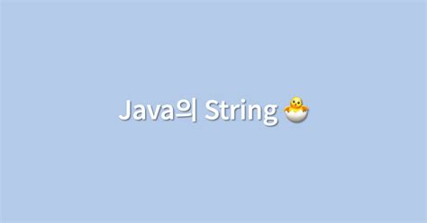 Java 의 String